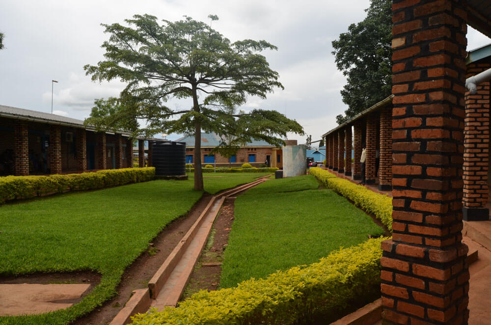 Projects 2017 – Impala Foundation